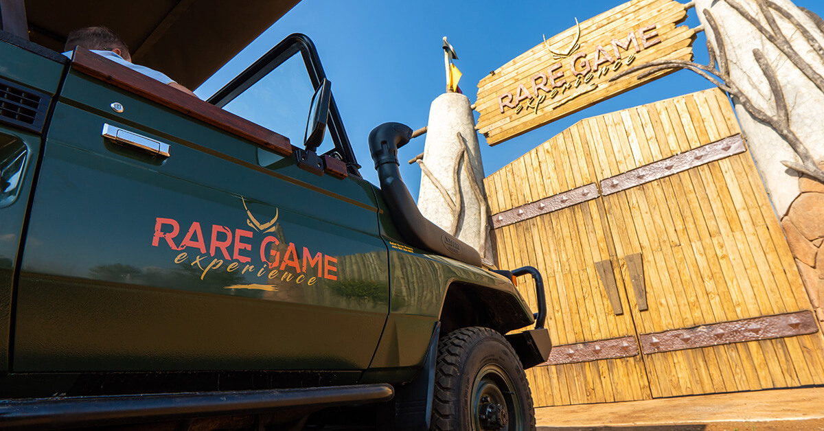 The Rare Game Experience | The Kingdom Resort | Pilanesberg, North West